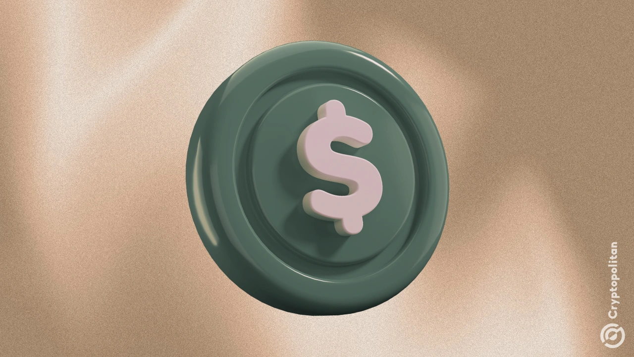 Analysts note the increasing popularity of stablecoins among individuals