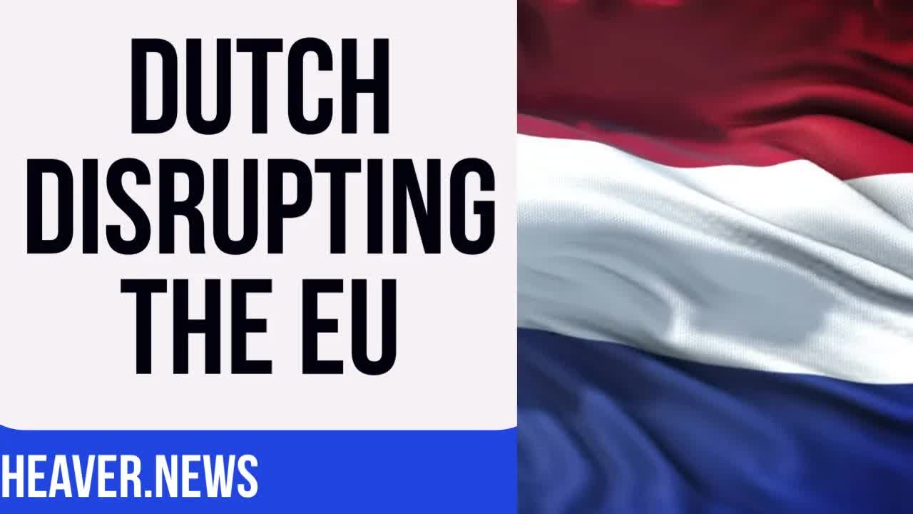 Dutch elections: will Geert Wilders become prime minister?