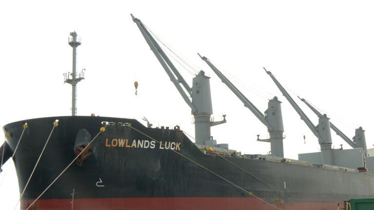 11 hospitalized from muriatic acid exposure at Port Panama City; one in ...