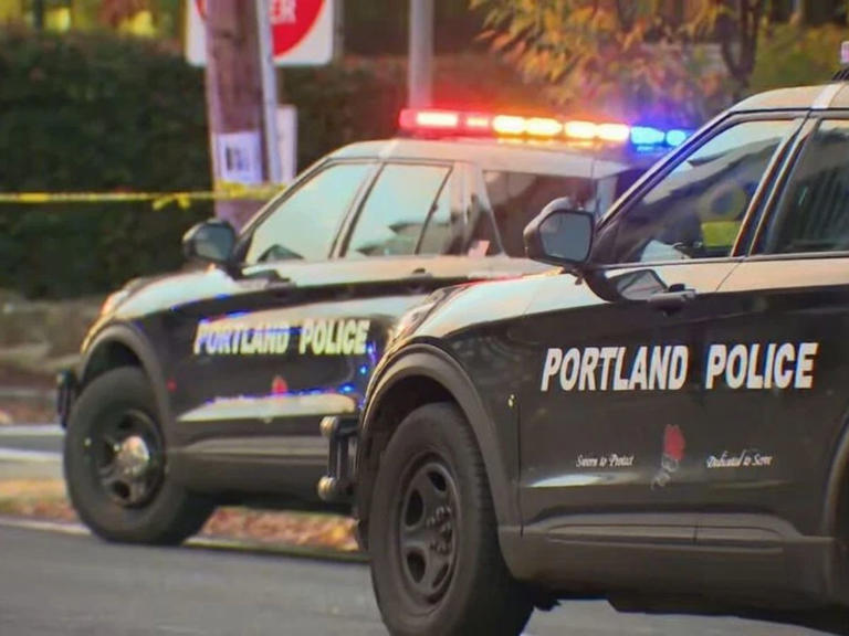 Portland police confirm federal agents shot two, CBP agents involved ...