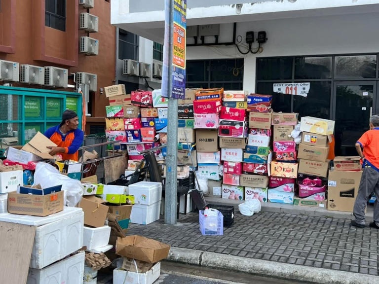 Homeless man placed under welfare care after public complaints over box ...