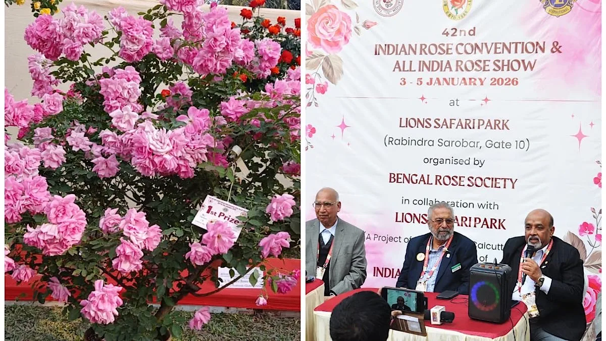 42nd Indian Rose Convention in Kolkata: Flowery reinforcement of Bengal ...