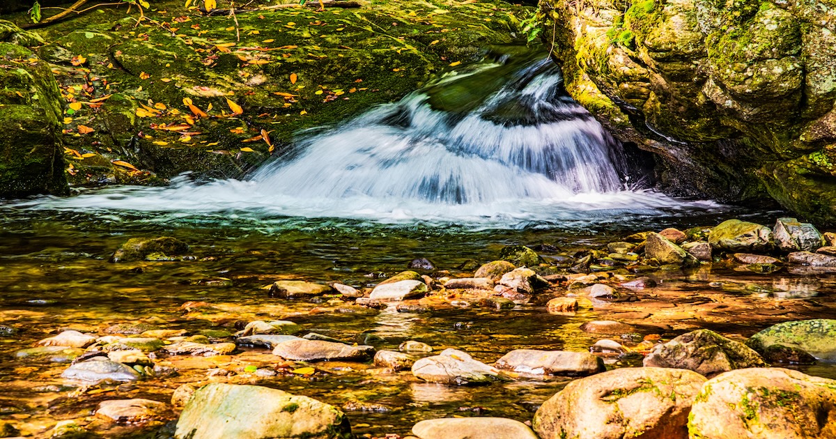 The Tennessee hike that's 100% worth braving the cold