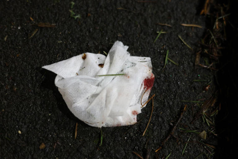 See Portland scene where Border Patrol shot 2 people