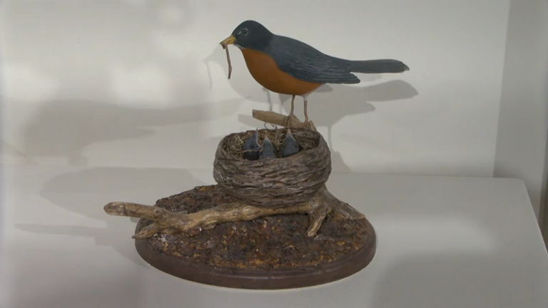 Local artist’s wood carvings on display at Norfolk Art Center