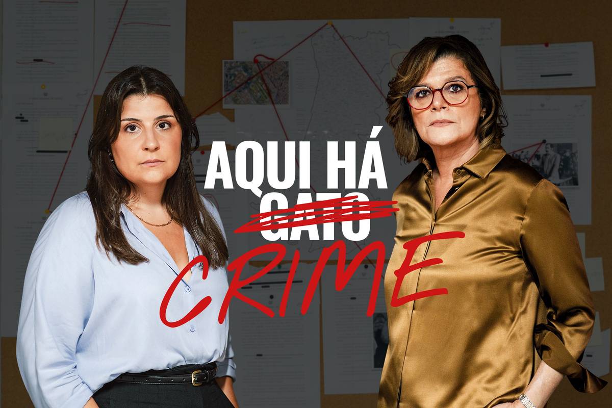 Carlos Castro e Renato Seabra: de Times Square ao quarto do horror ...