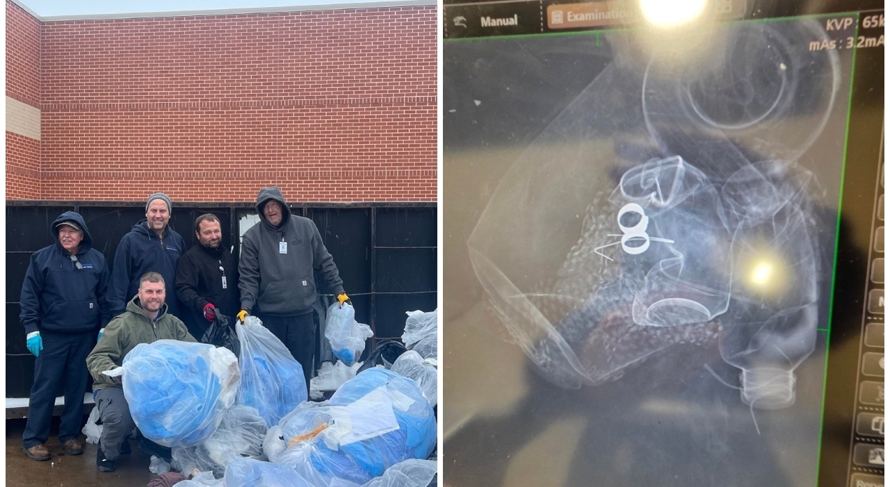 Perde anelli durante una visita in ospedale, ritrovati grazie a un ...