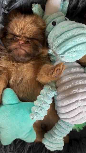 Just an excuse to share this cuteness