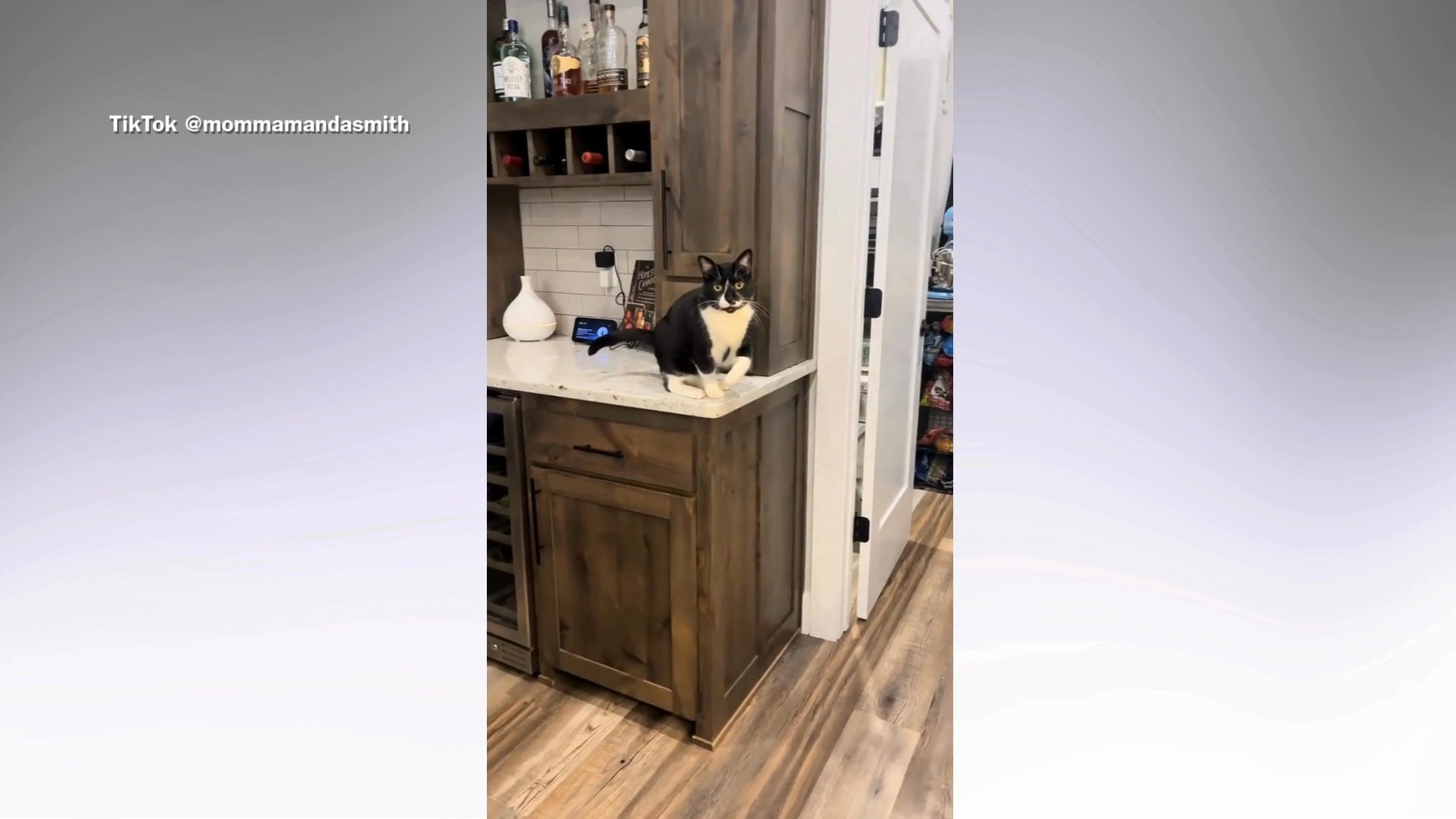 Watch cat’s 'injured' paw miraculously heal thanks to one thing