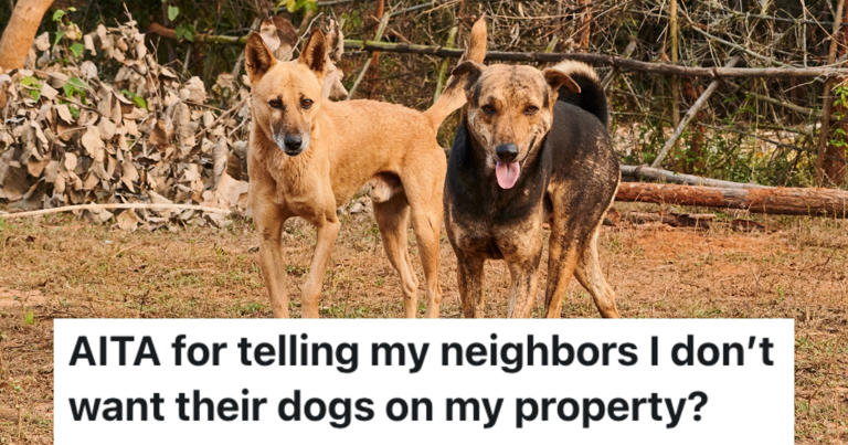 Neighbor won’t keep her dogs off a homeowner’s property, so he told her ...