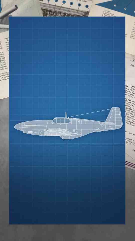 This WW2 plane was way bigger than it needed to be