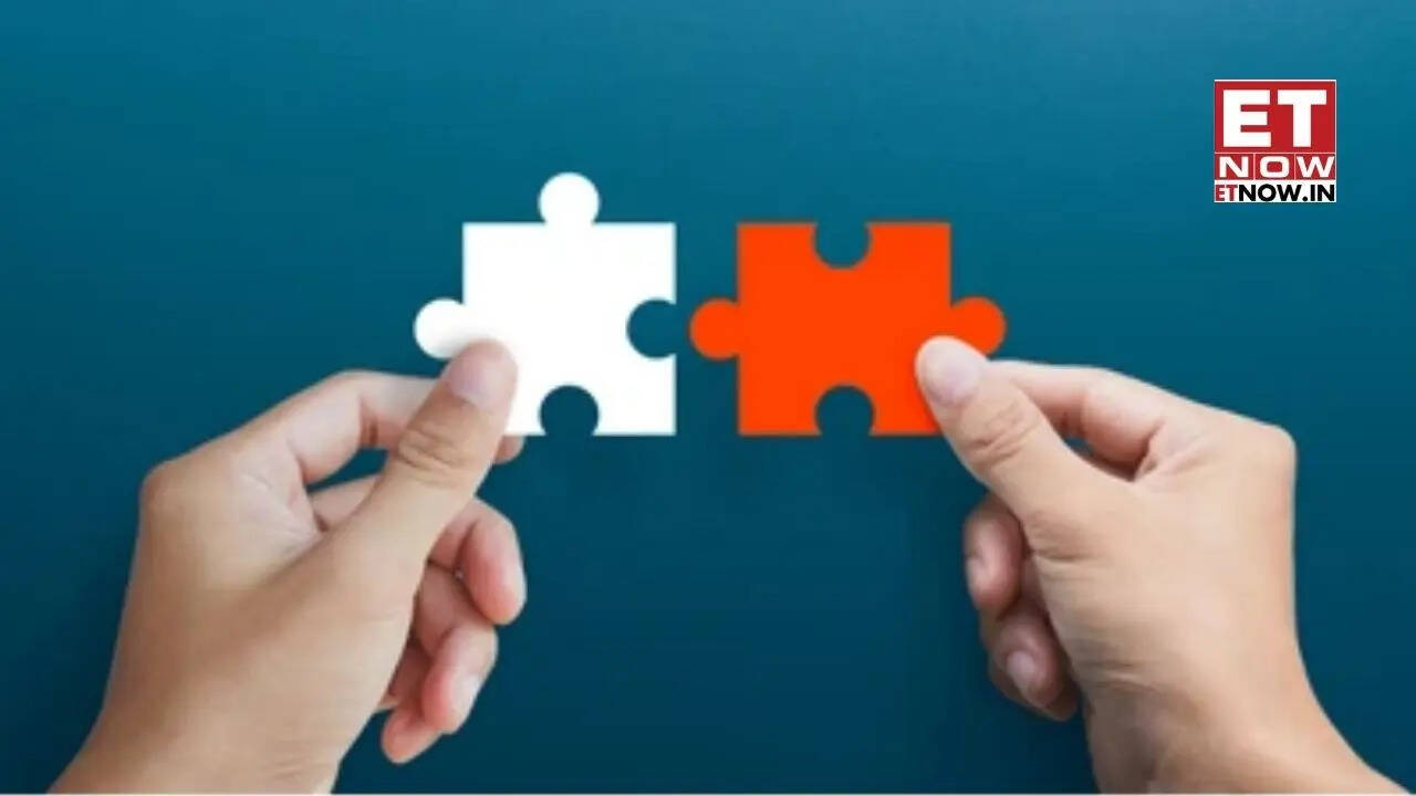 FMCG company considers merger to boost business synergies; stock below ...