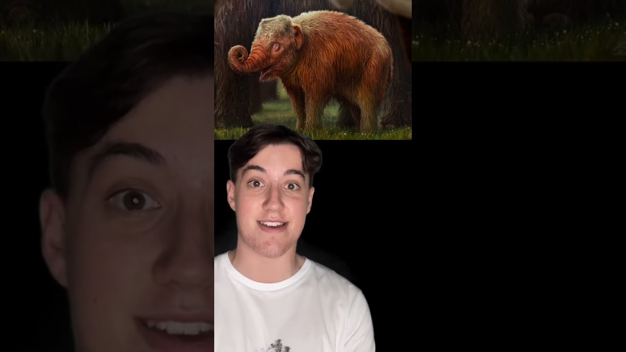 The science behind efforts to revive the woolly mammoth