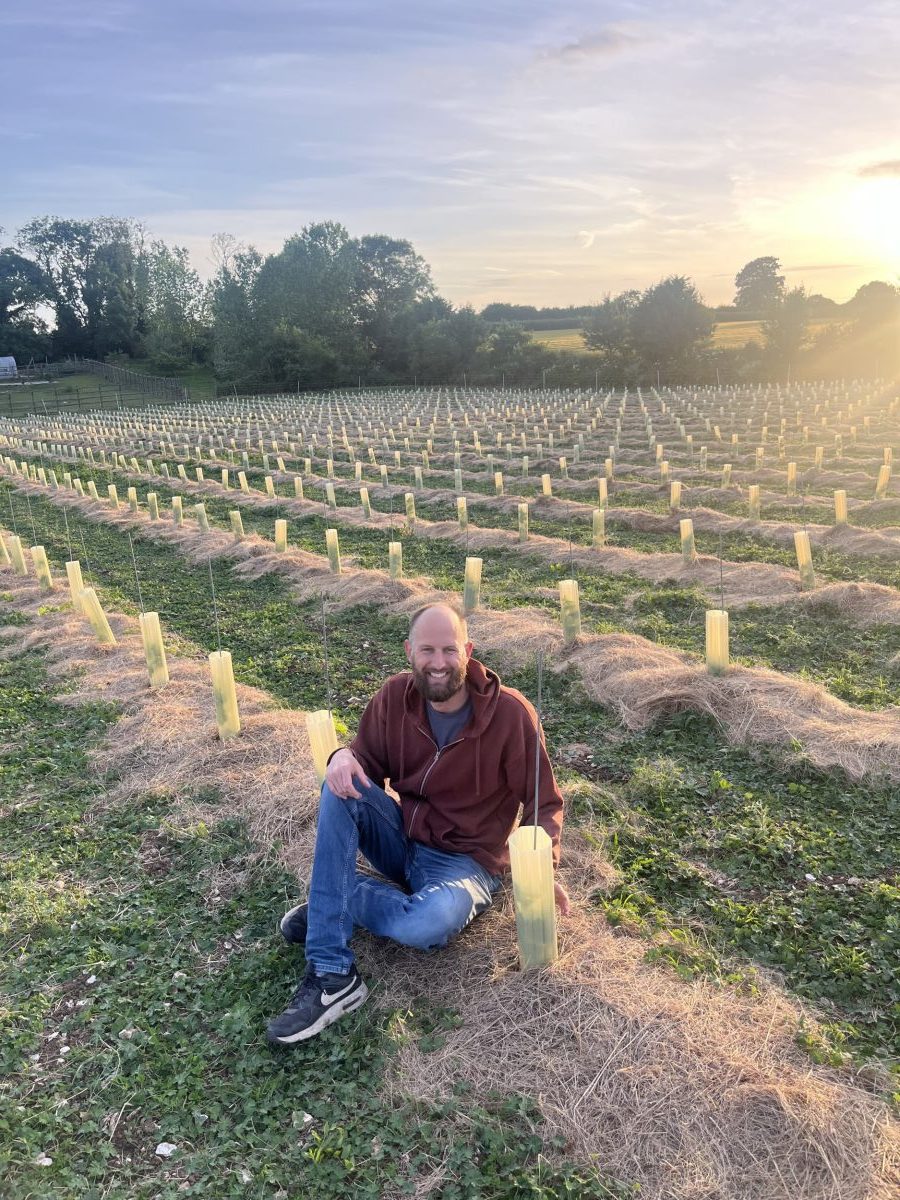 I quit my corporate job and bought a vineyard