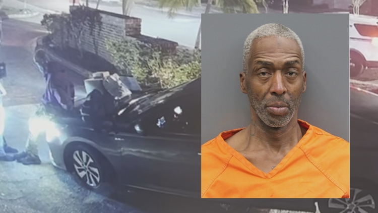 Tampa police arrest Hyde Park serial burglary suspect after tenant ...
