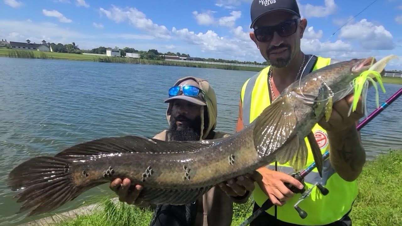How to catch snakeheads in the summer heat