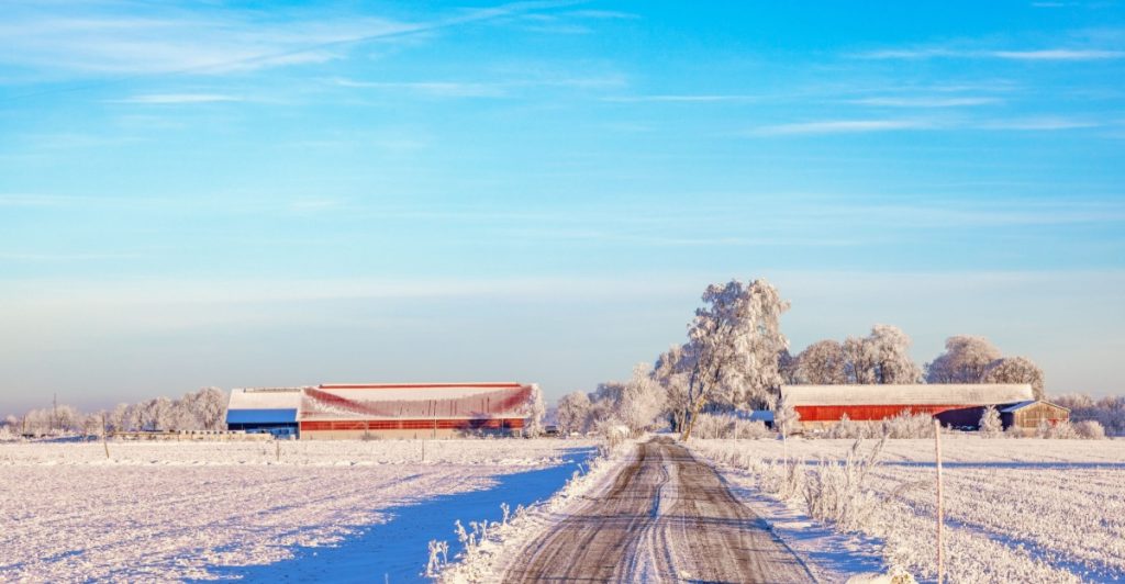 SMHI tar bort alla snövarningar – lugnare väder väntar