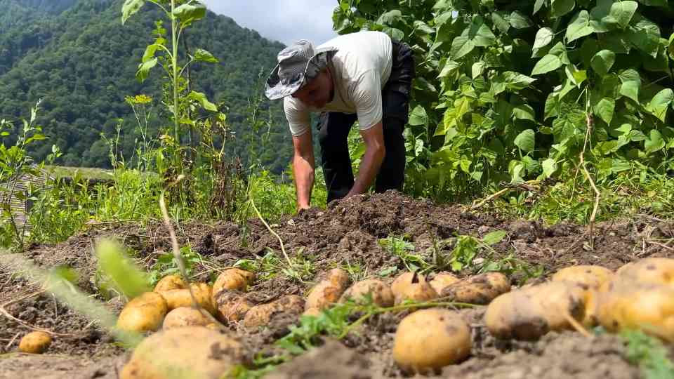 Outdoor feast inspired by Genghis Khan’s recipes
