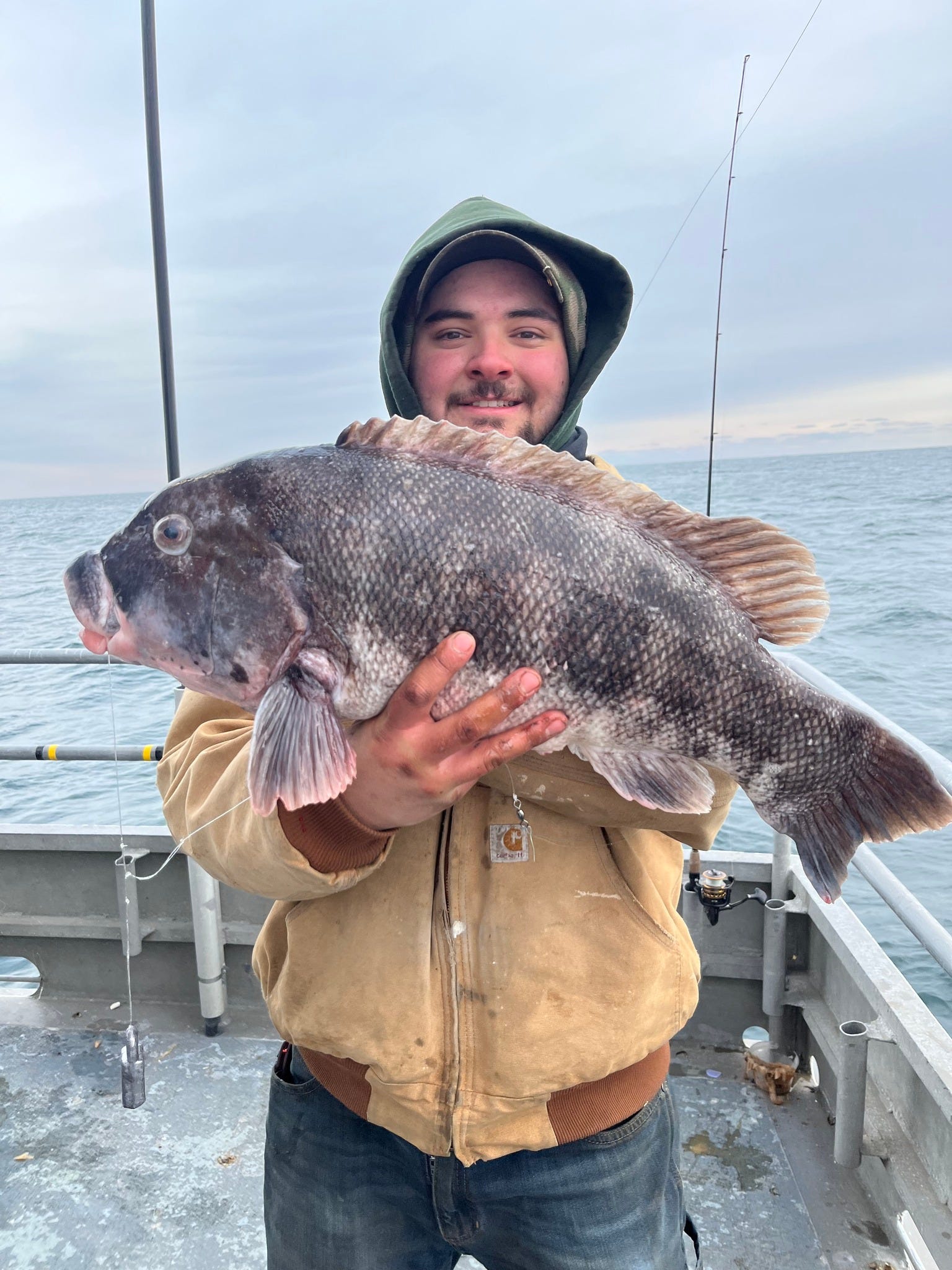 Big blackfish landed in the deep as cold water pushes boats offshore