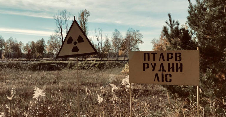 Chernobyl dogs show rapid genetic changes after 30 years inside fallout ...