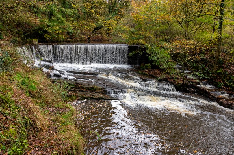 'Amazing' family walk with hidden waterfall and kids park 1 hour from ...