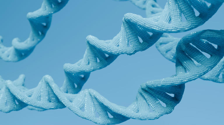 Scientists didn't expect this part of the body to stay active after death