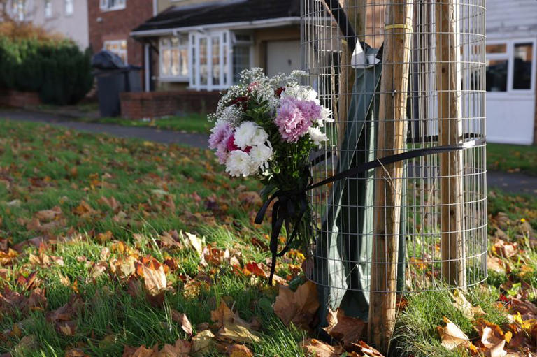 Crook driver in stolen car killed Birmingham pensioner, fled scene and ...