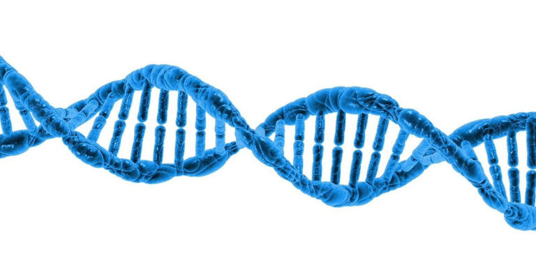 Chernobyl dogs show rapid genetic changes after 30 years inside fallout ...