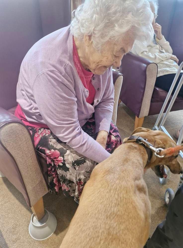 Therapy dog Foxy brings joy back to Castleford care home