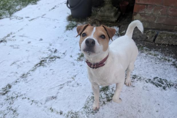 South Wales under yellow snow and ice warning overnight
