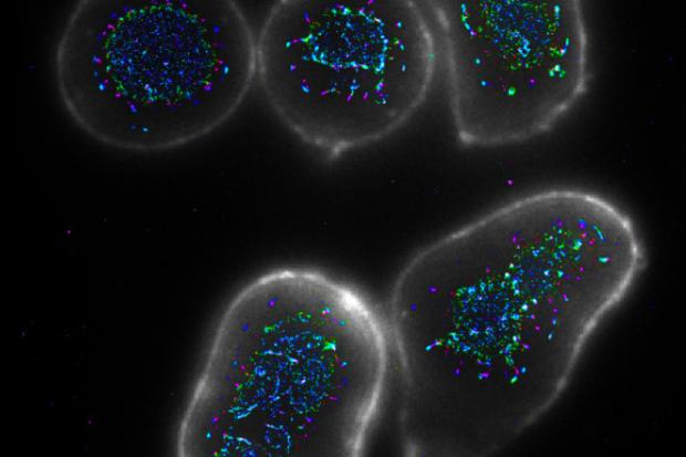 New research shows promise in boosting immune system's fight against cancer