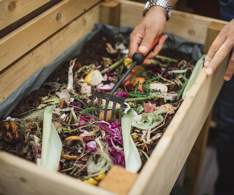 Weekly food waste bins for all homes by end of March
