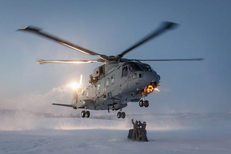 Dramatic scenes show British commandos training in Arctic this week