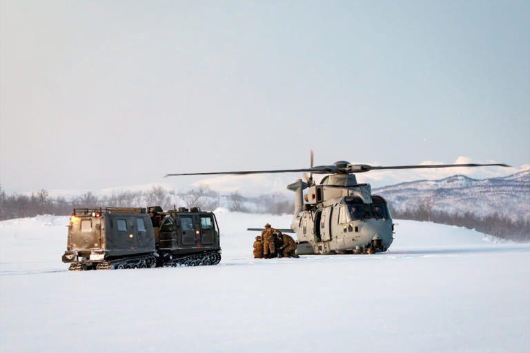 Dramatic scenes show British commandos training in Arctic this week