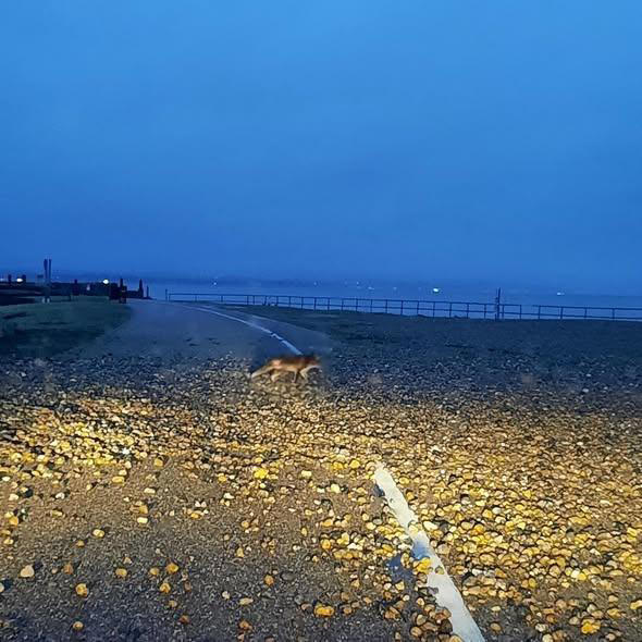 Storm Goretti: Street cleansing team out in Eastbourne as storm passes ...