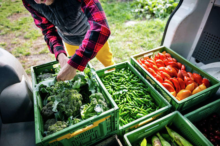 New Berlin farmers opening Witty Farmer branch in late spring