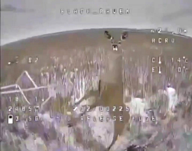 Oh deer! Animal has close call with Ukrainian military drone
