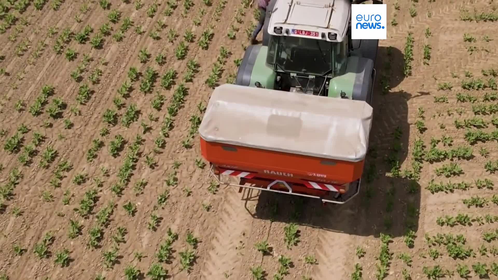 EU member states back Mercosur deal, French MEPs vow fight in Parliament