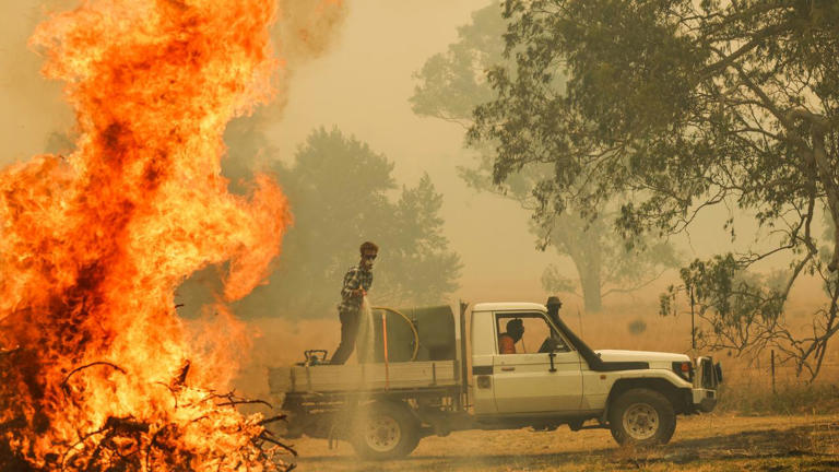 State of disaster declared as fires ravage state