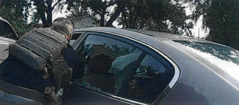 Court records detail prior incident involving ICE officer who shot and ...