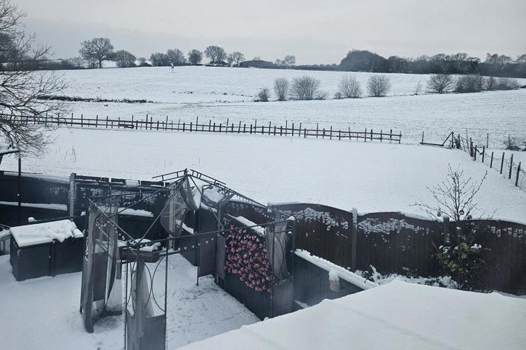 9 photos of snow in Hucknall after Storm Goretti rolls in