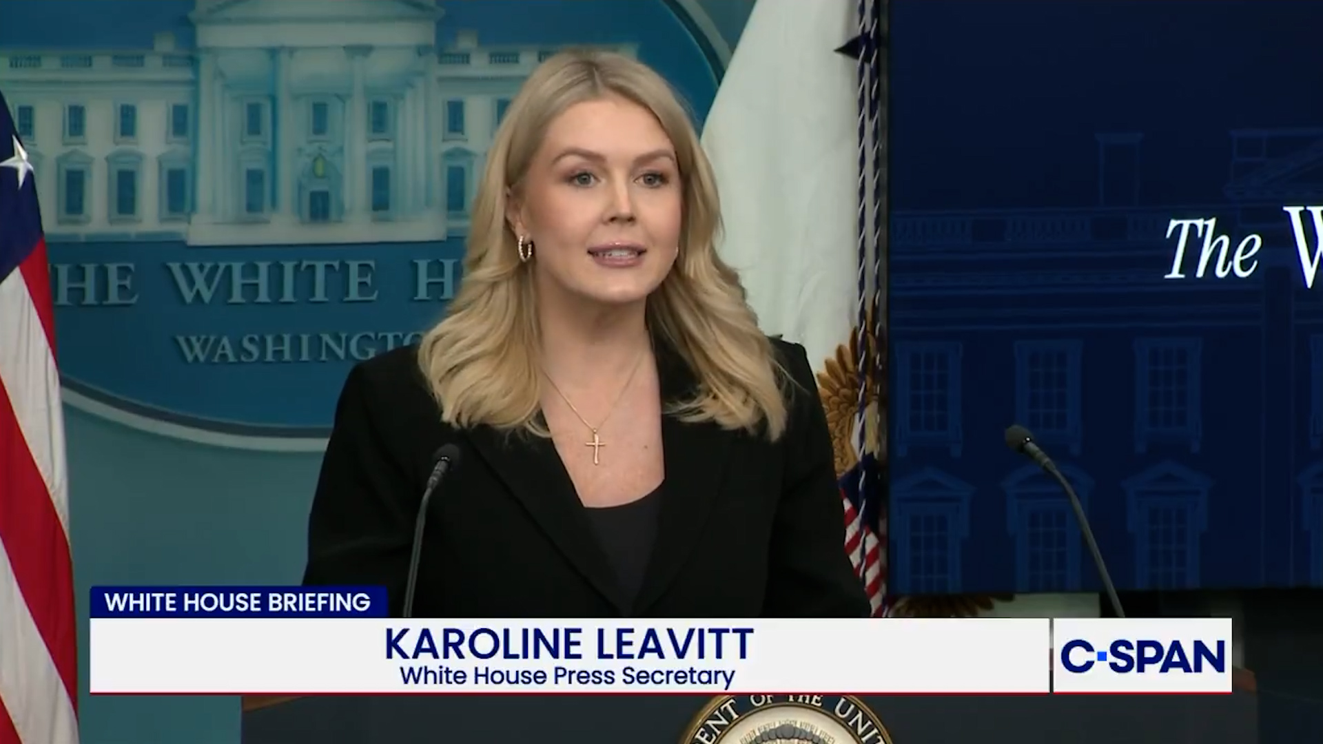 Karoline Leavitt calls Minneapolis ICE shooting result of ‘a larger ...