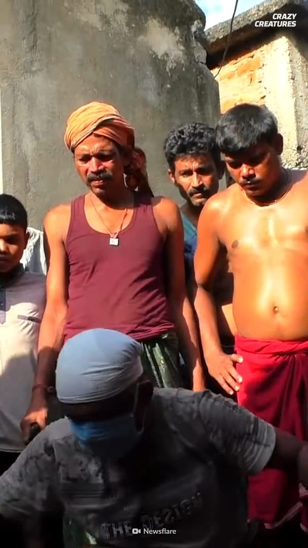 How cobras ended up living under a human home