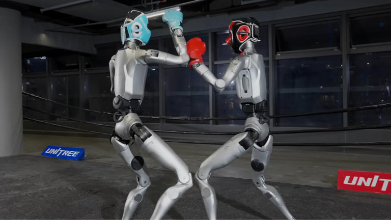Real Steel fantasy turns real as humanoid robots fight at world’s top ...