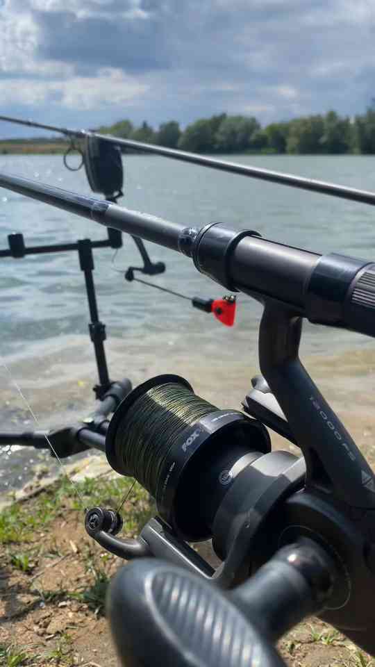 A perfect setup for a successful catch