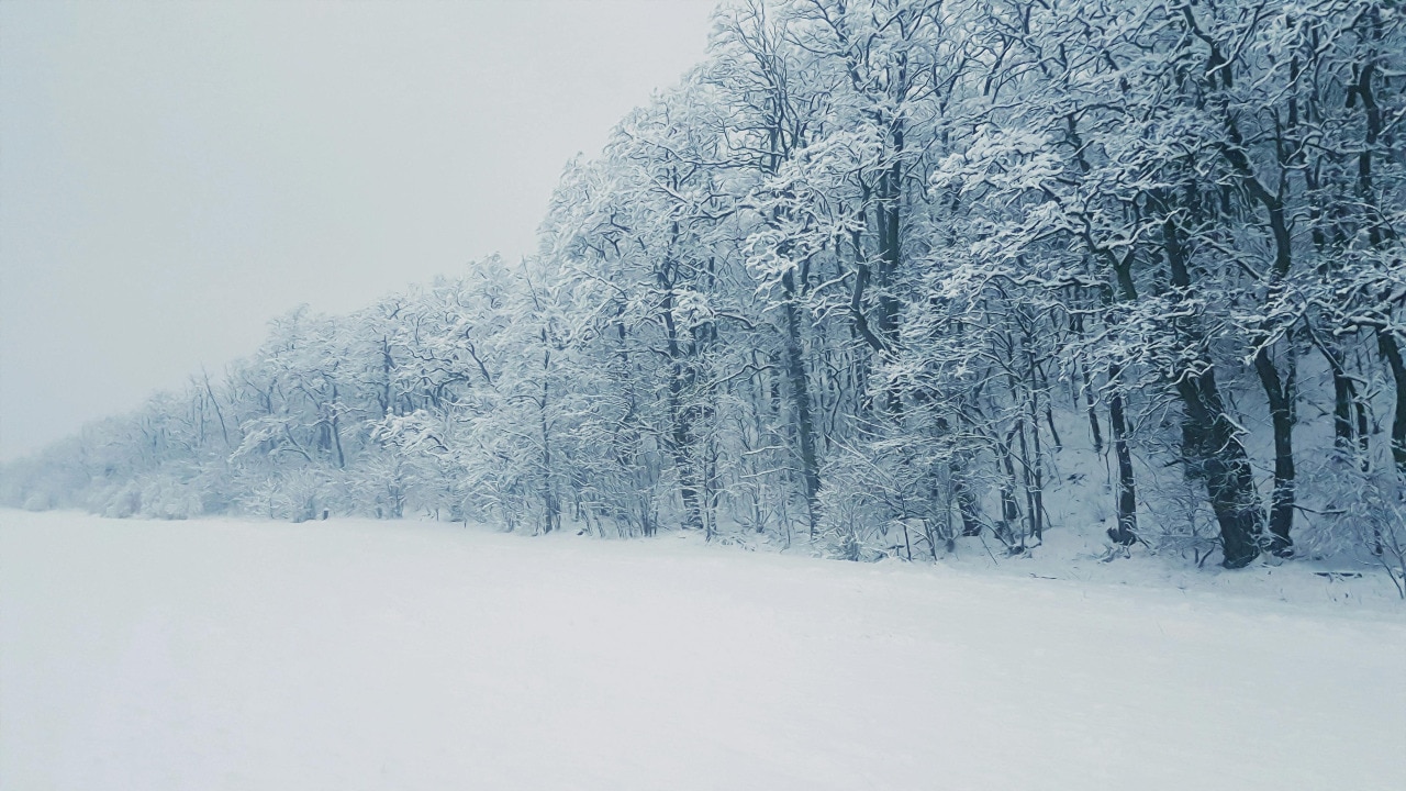 When was the coldest day ever recorded on Earth?