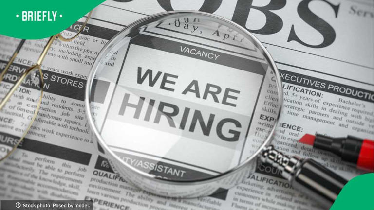 Fikile Mbalula tells jobseekers to refer employers to him over ...