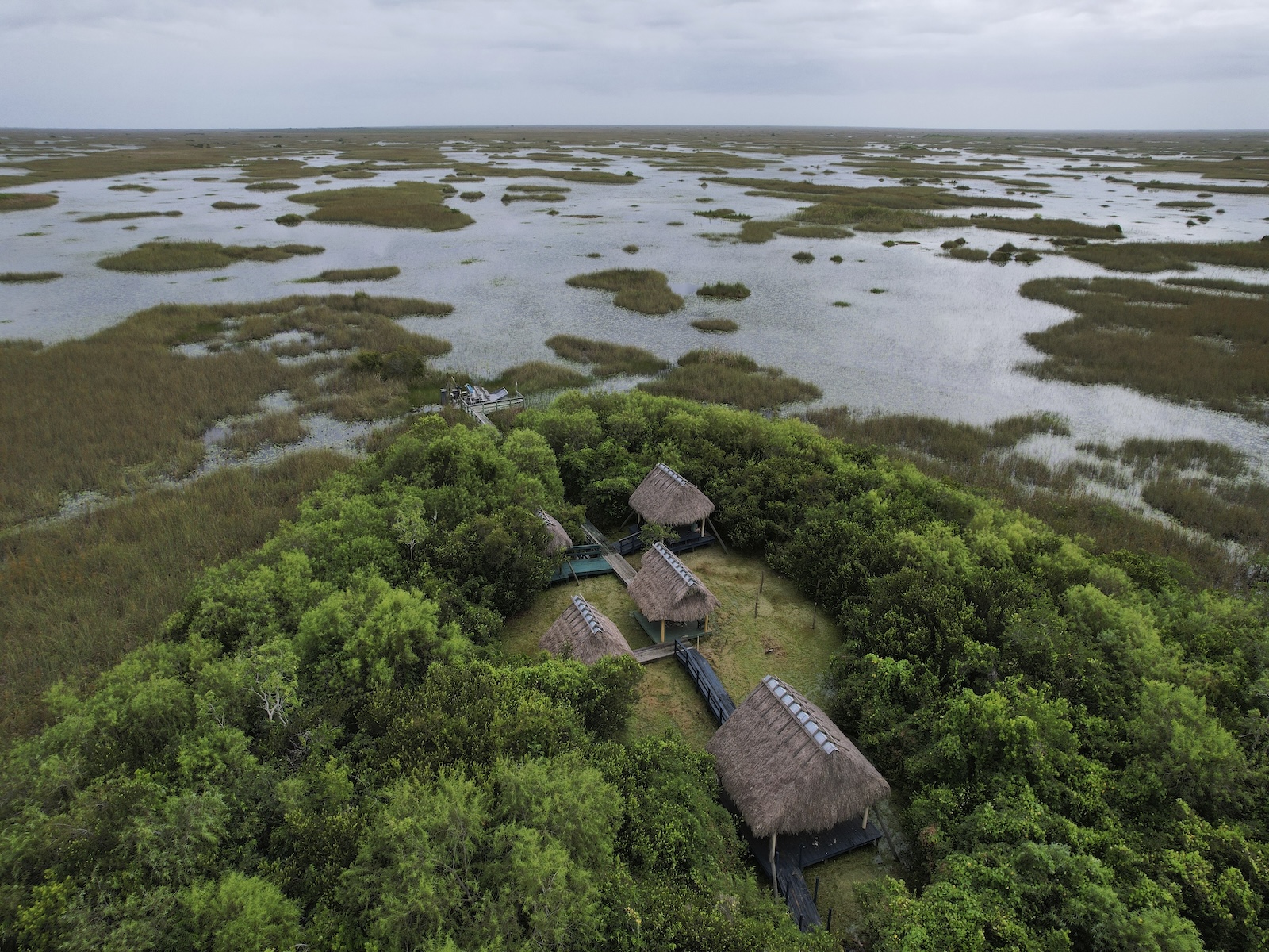 The Miccosukee Tribe blocked Alligator Alcatraz. Then Trump blocked a ...