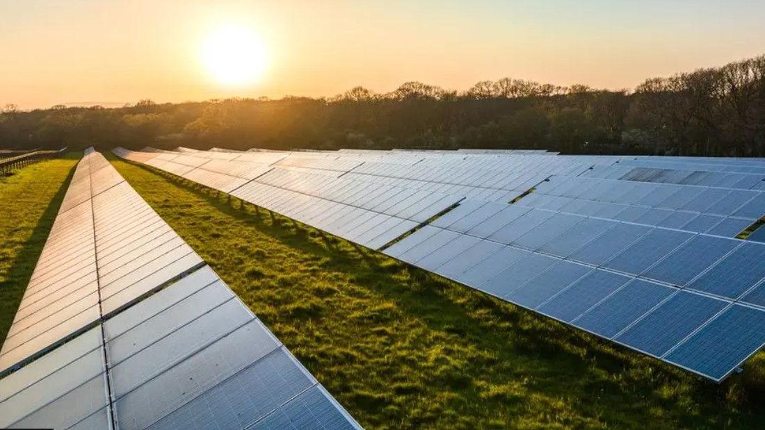 Solar farm build paused after grid hook-up setback
