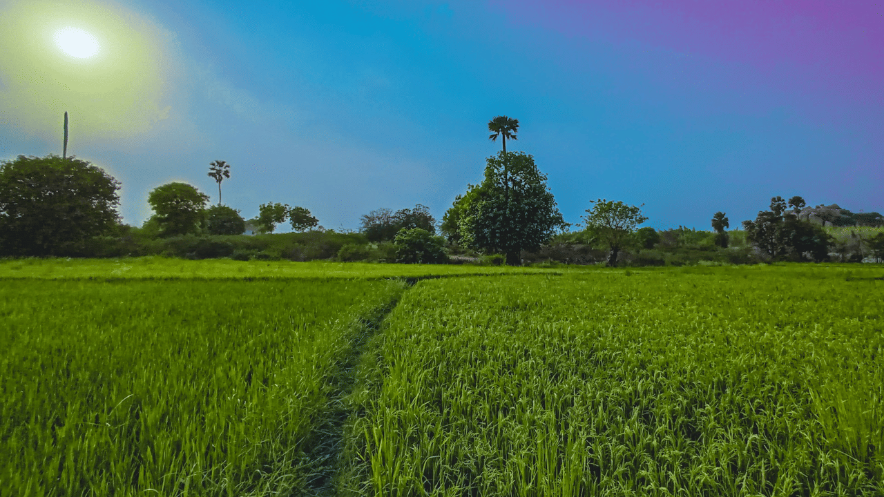 Goa appoints 32-year-old farmer as agriculture brand ambassador to ...